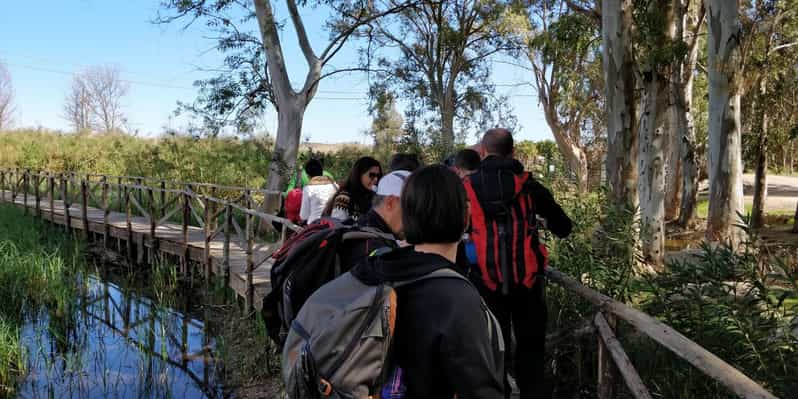 Syracuse: Ciane River Nature Reserve Guided Trek | GetYourGuide