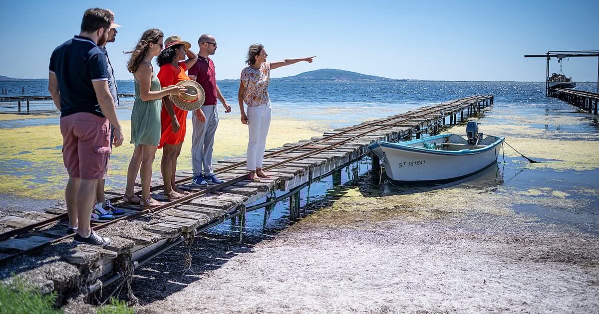 Montpellier Wein und Austern Tour | GetYourGuide