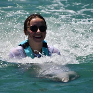 Dolphin Connection, Florida Keys - Book Tickets & Tours | GetYourGuide