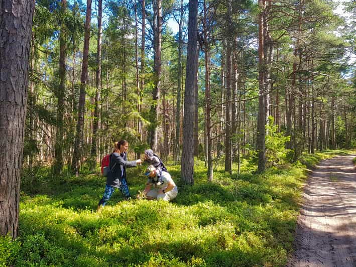 From Riga: Slītere National Park Latvian Nature Hiking Tour | GetYourGuide