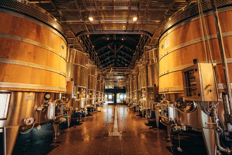 From Milan: Wine Tasting Tour in the Countryside | GetYourGuide