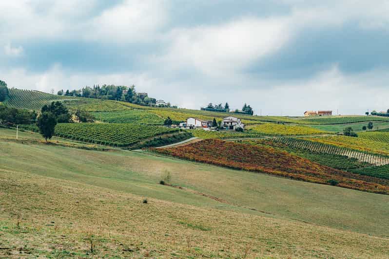 From Milan: Wine Tasting Tour in the Countryside | GetYourGuide