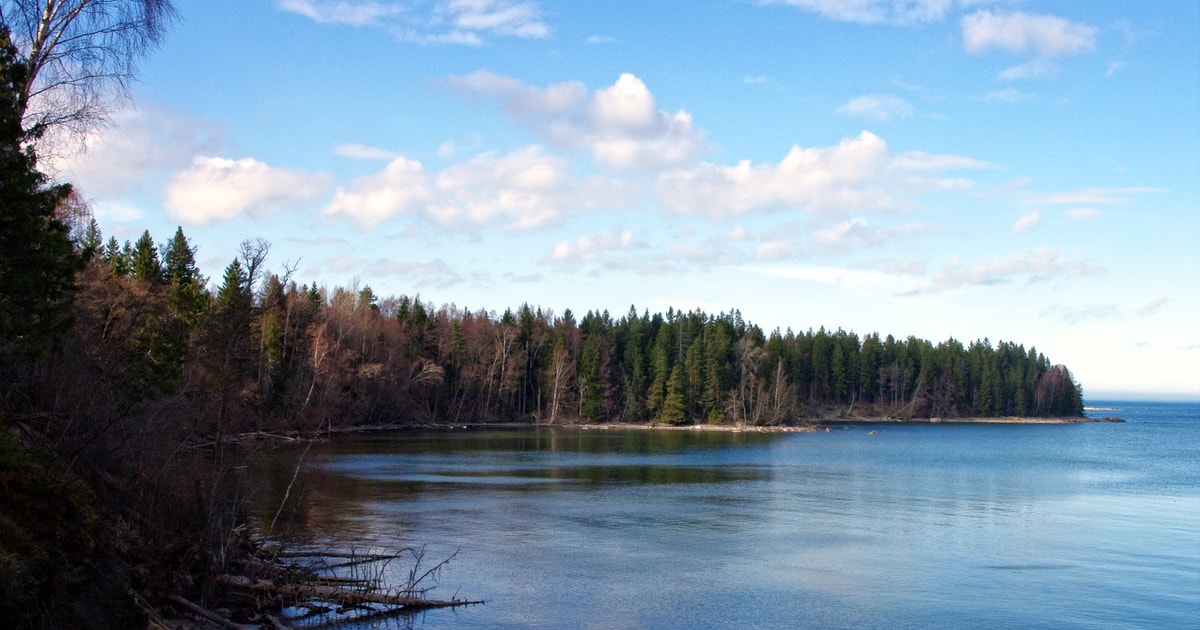 Tallinn: I migliori percorsi naturalistici estoni in un giorno Tour ...
