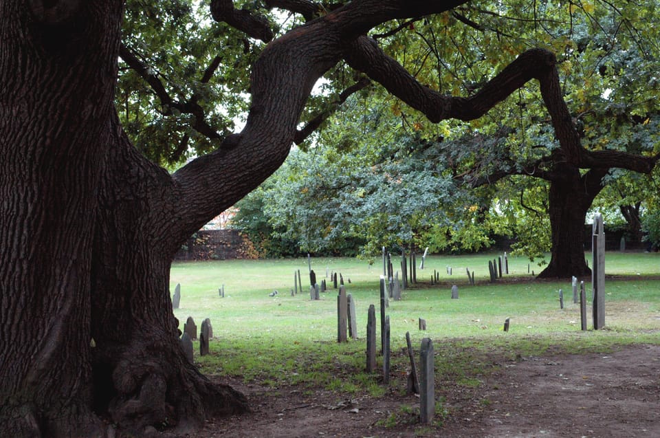 Salem: Requiem for Salem Walking Ghost Tour | GetYourGuide