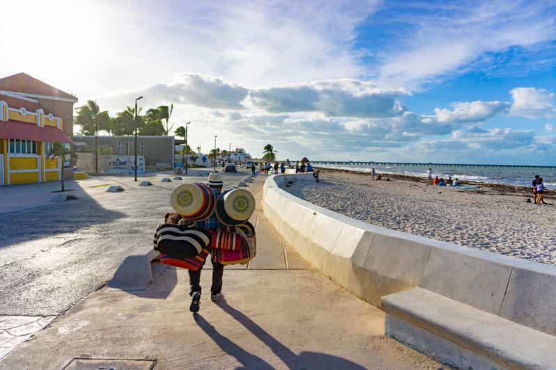 Merida: Progreso en El Corchito Ecologische Reserve Tour | GetYourGuide