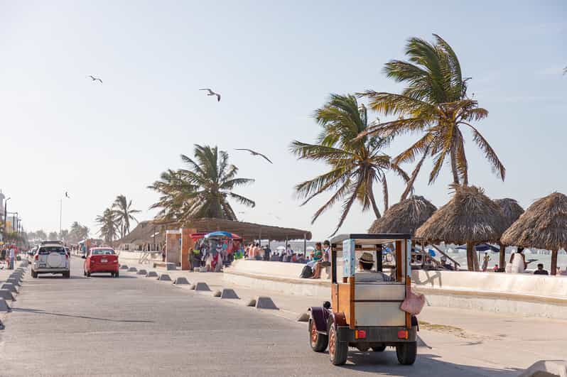 Merida: Progreso en El Corchito Ecologische Reserve Tour | GetYourGuide