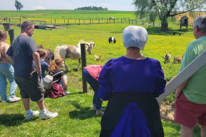 Unique Amish Immersion Experience | GetYourGuide