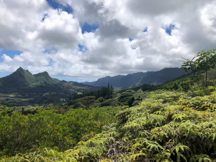 Waikiki: Waterfall Hike & East Side Beach Day | GetYourGuide