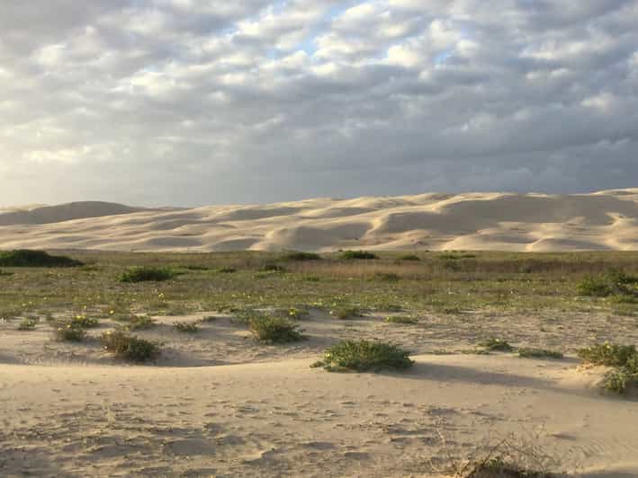 Port Stephens: Stockton Sand Dunes 4WD Tag-Along Tour | GetYourGuide