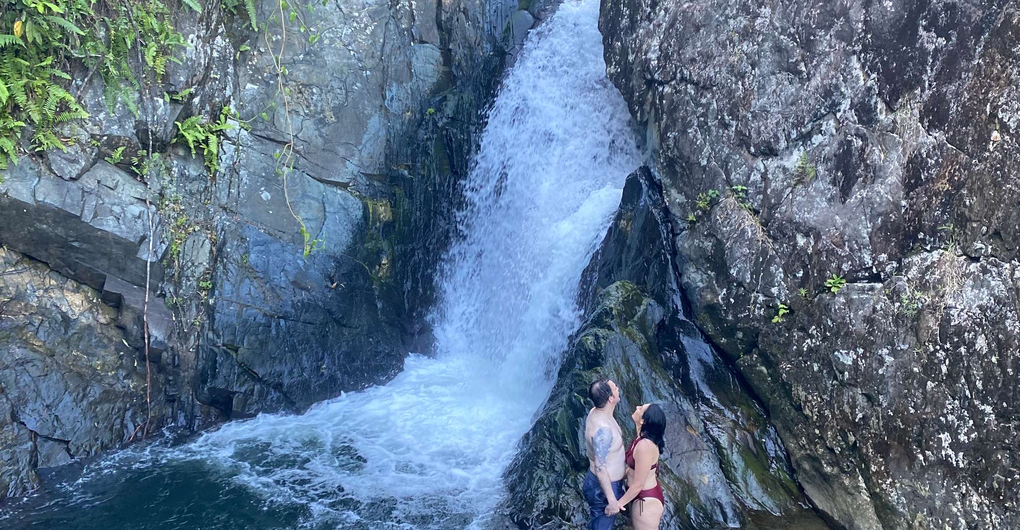 Fajardo El Yunque Rainforest Hike And Waterslide Adventure Suitetrails