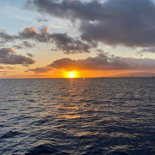 Oahu Night Dive: Adventure for Certified Divers | GetYourGuide