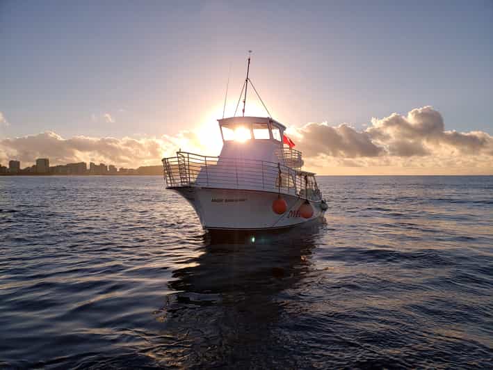 Oahu Night Dive: Adventure for Certified Divers | GetYourGuide