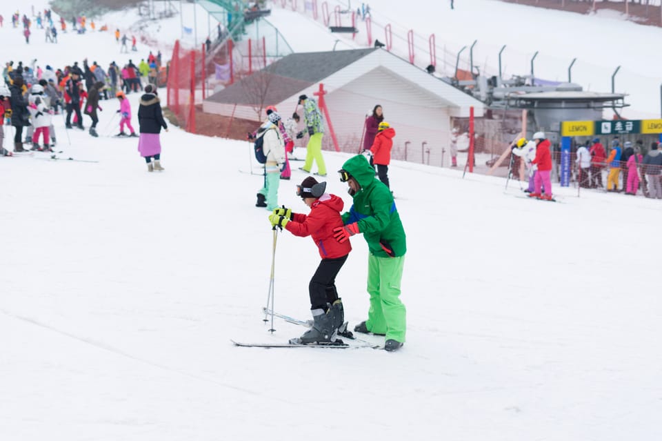 Seoul: Jisan Forest Ski Resort Day Trip (Transfers/ Lesson) | GetYourGuide