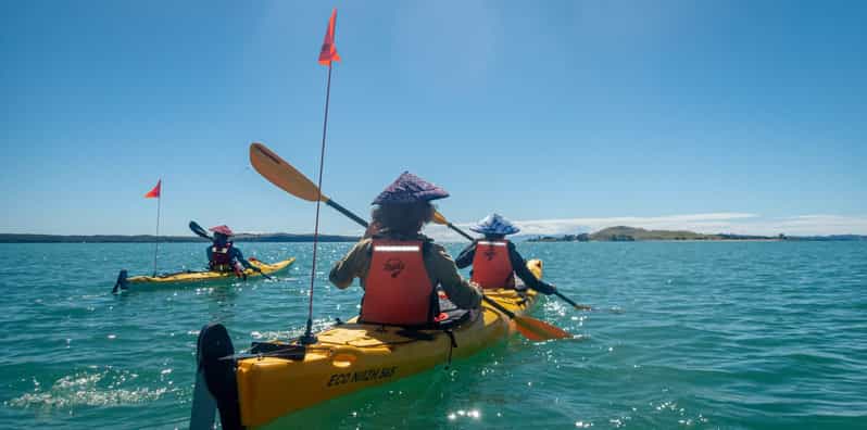 Auckland Excursión en Kayak de Mar por la Isla de Waiheke | GetYourGuide