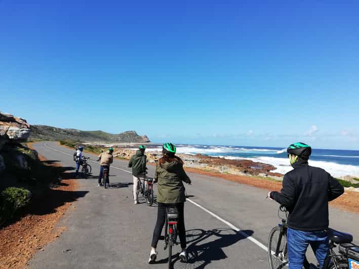 Cape Peninsula: Cycle & Drive Private Full Day Tour | GetYourGuide