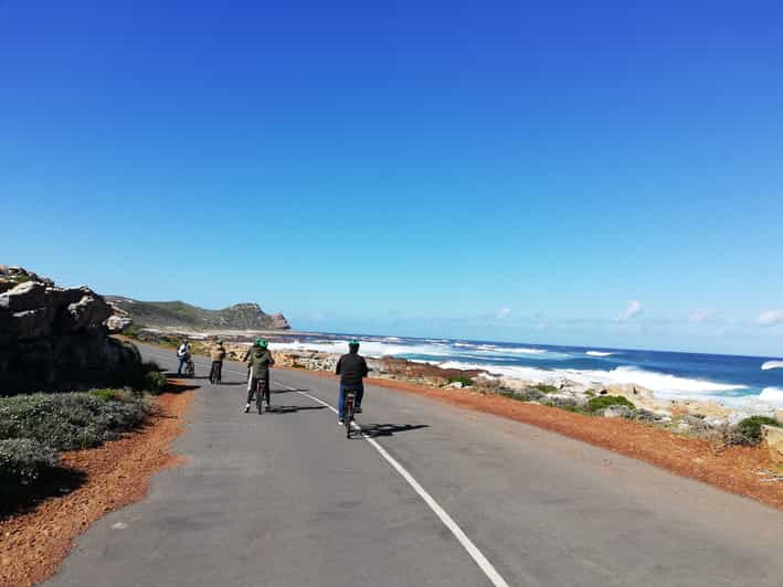 Cape Peninsula: Cycle & Drive Private Full Day Tour | GetYourGuide