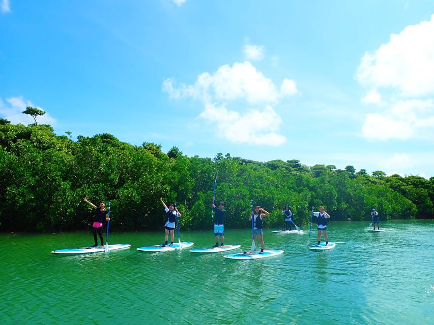 Isla de Ishigaki: SUP/kayak y snorkel en la Cueva Azul | GetYourGuide