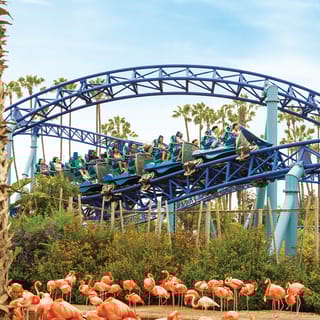 SeaWorld San Diego, San Diego - Book Tickets & Tours | GetYourGuide