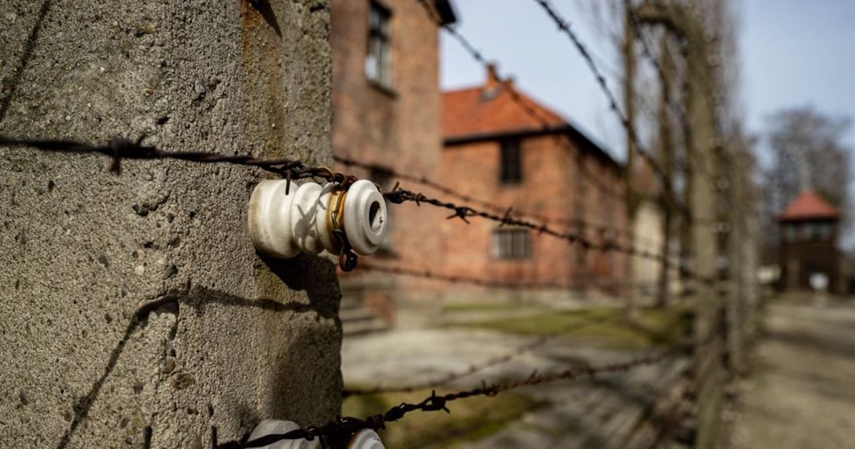 Auschwitz-Birkenau Skip-the-Line Ticket and Guided Tour | GetYourGuide