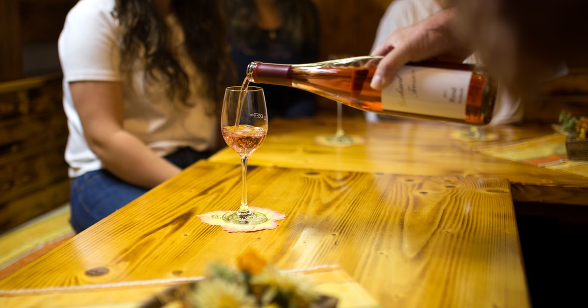 Winetasting with tour through the winery | GetYourGuide