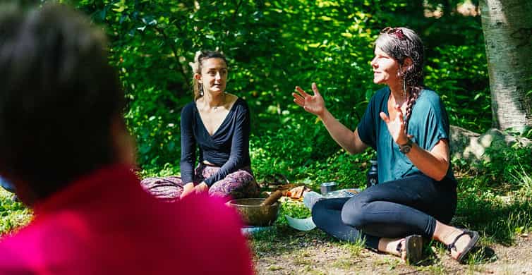 Forest Bathing & Nature Therapy Mini-Retreat | GetYourGuide