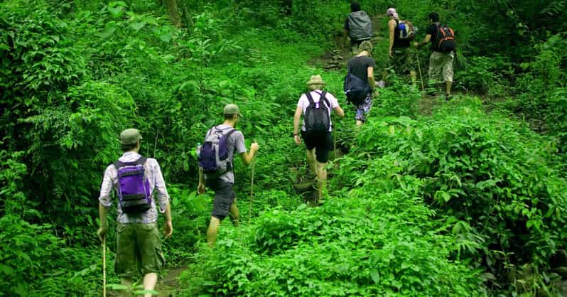 From Medan: Mount Leuser National Park Full-Day Trip | GetYourGuide