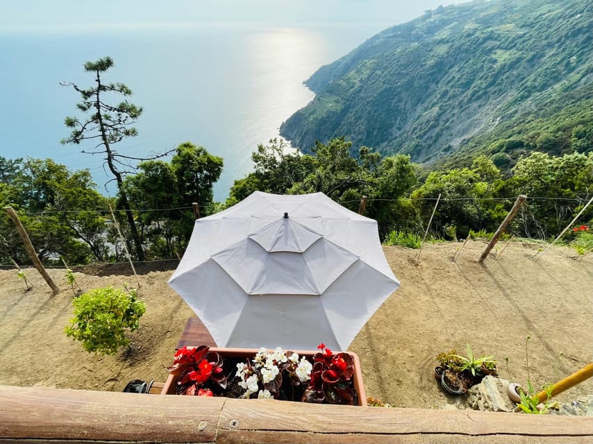 Monesteroli and the Hidden Gems of 5 Terre: Geo Trek Loop | GetYourGuide