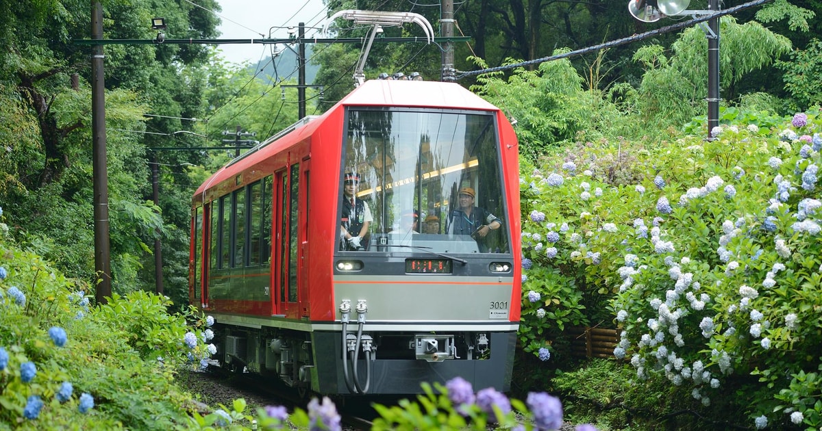 Hakone: Train Pass with Unlimited Rides & Activity Discounts | GetYourGuide