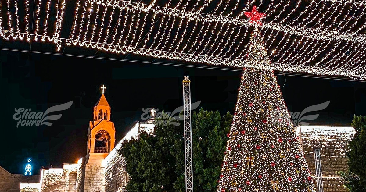 Tel Aviv/Jerusalem: Christmas in Bethlehem and Jerusalem | GetYourGuide