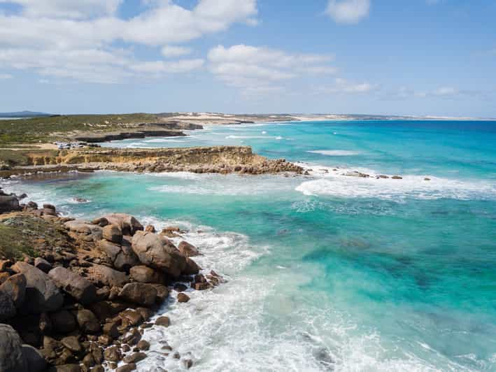 Adelaide: Eyre Peninsula and Flinders Ranges Adventure Trip | GetYourGuide