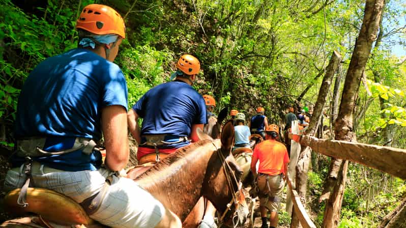 Puerto Vallarta: Canopy River Zip Line Tour with Mule Ride | GetYourGuide