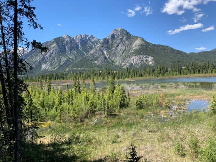 Banff Nature Walk - 2hrs | GetYourGuide