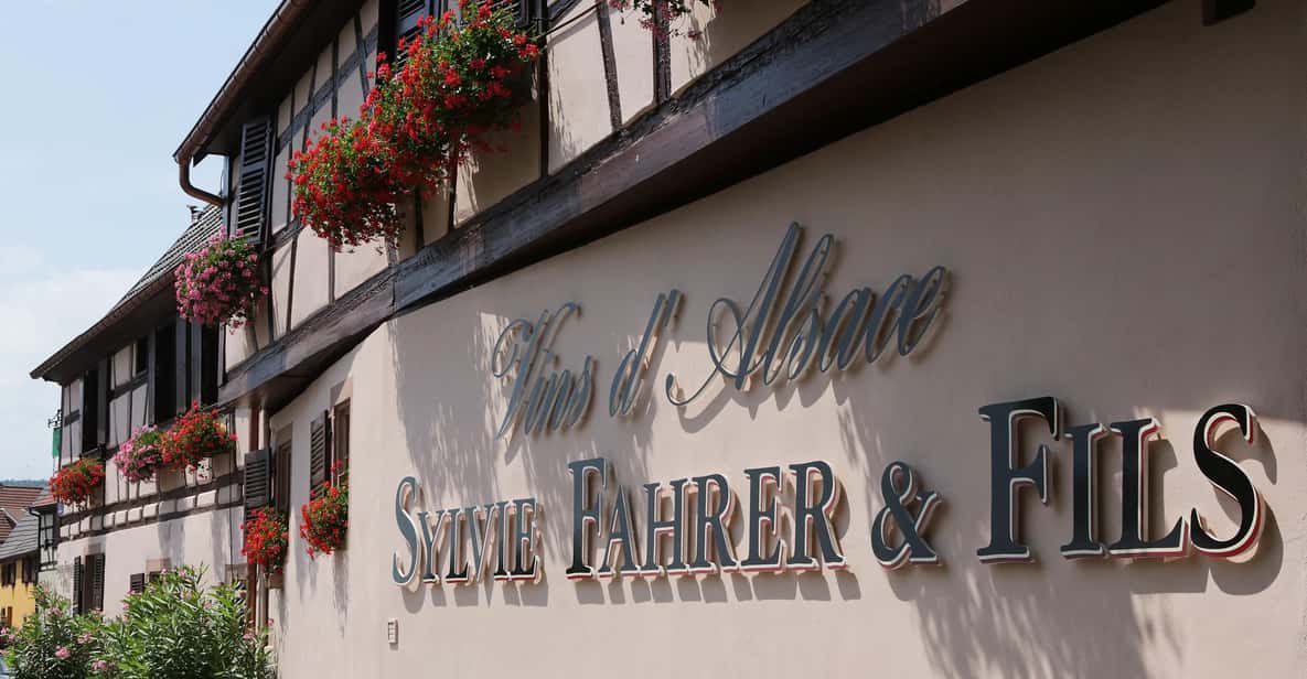 Alsace: Winery Tour & Tasting | GetYourGuide