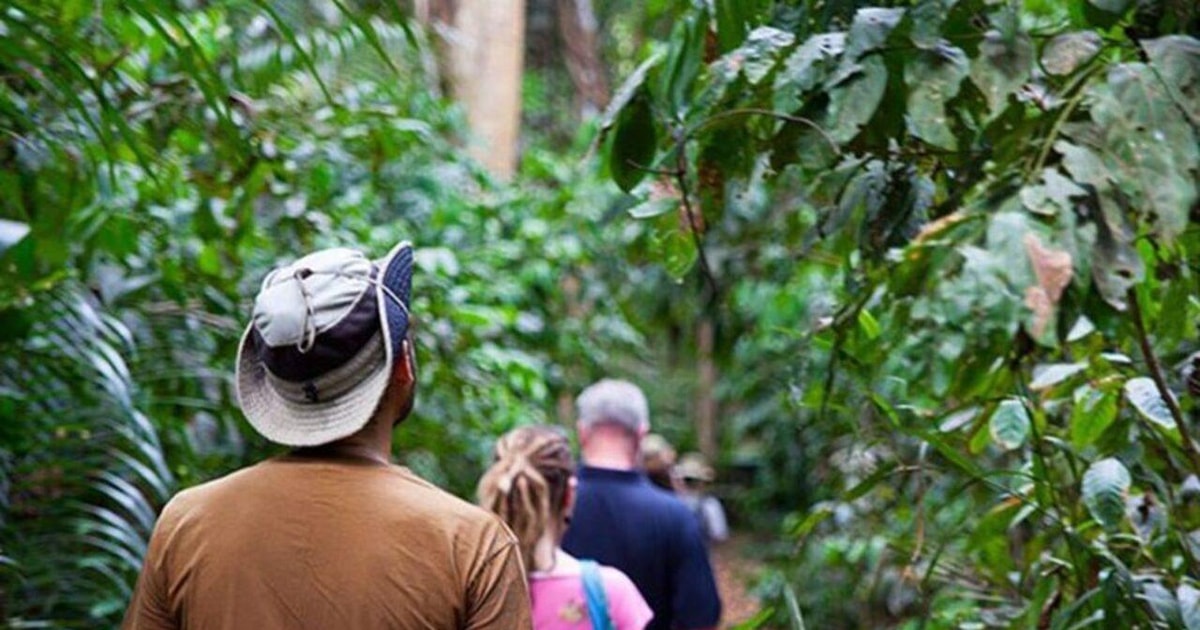 Zanzibar: Masingini Forest Reserve Guided Nature Walk | GetYourGuide