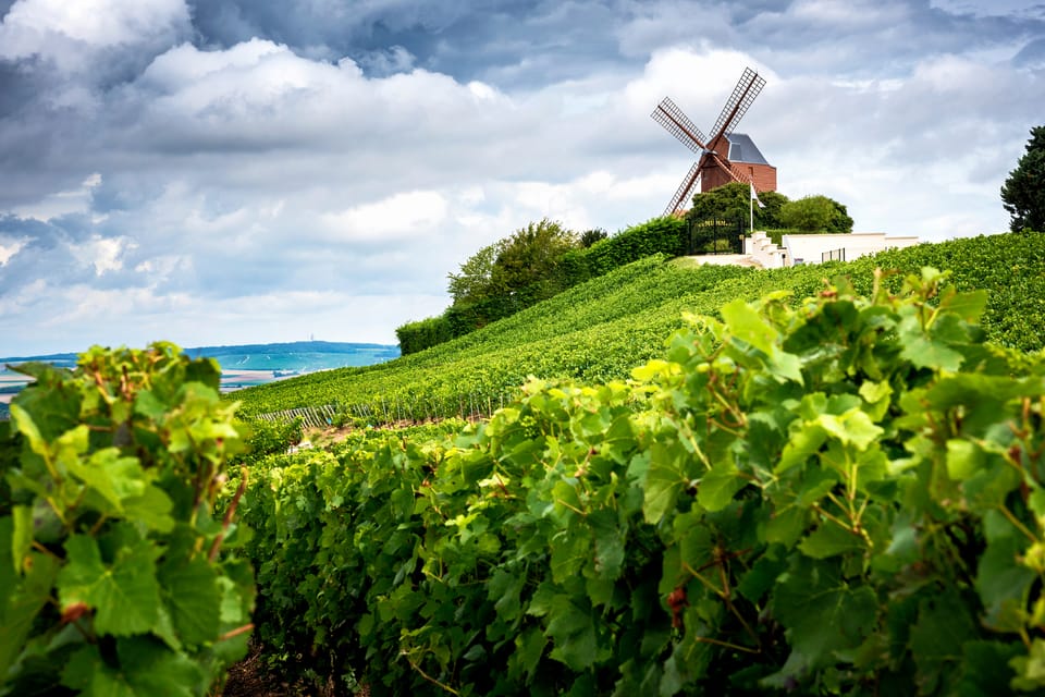 Paris: Two Reims Champagne Vineyards with Tastings and Lunch | GetYourGuide