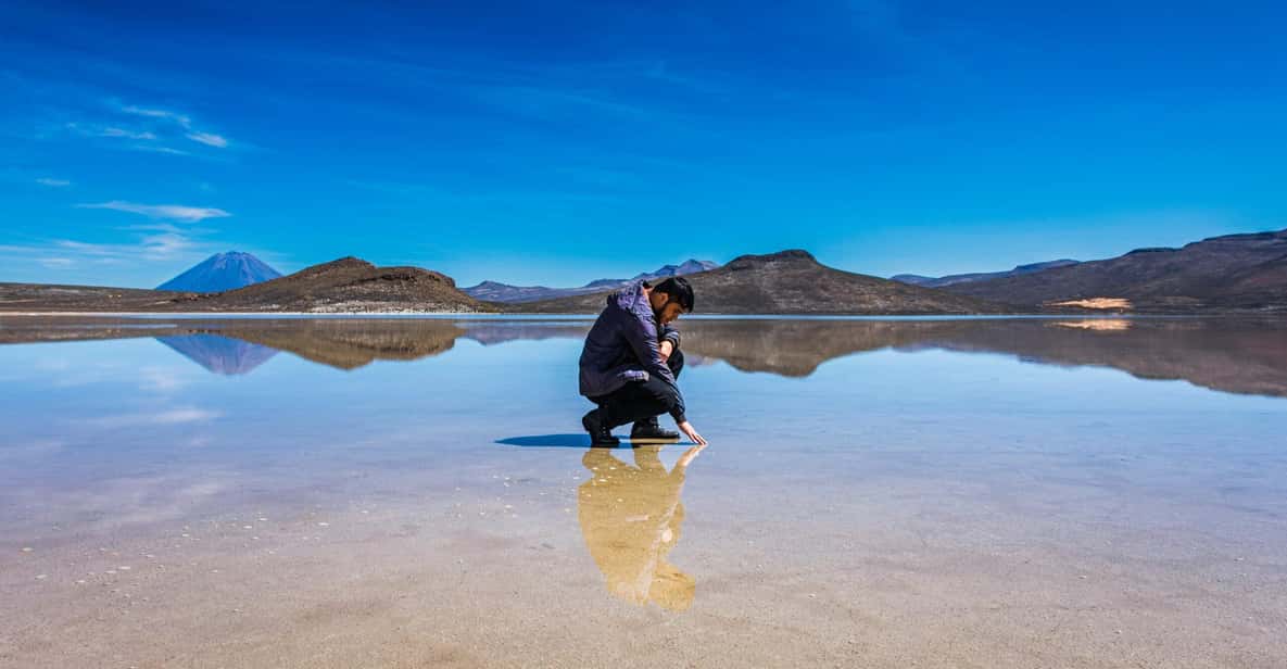 Arequipa : Réserve de Salinas et Volcan Aguada Blanca-Lojen | GetYourGuide