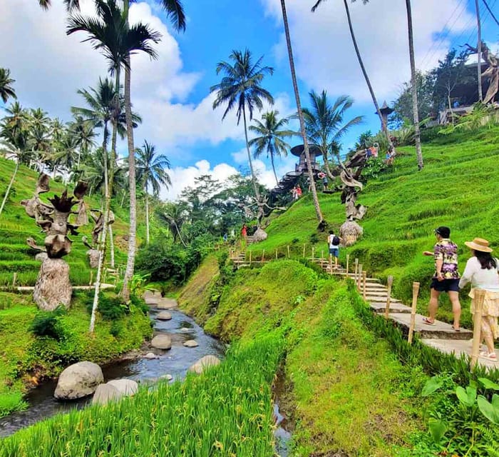 Ubud : Waterfall,Holly Water Temple,Swing/coffee plantation | GetYourGuide