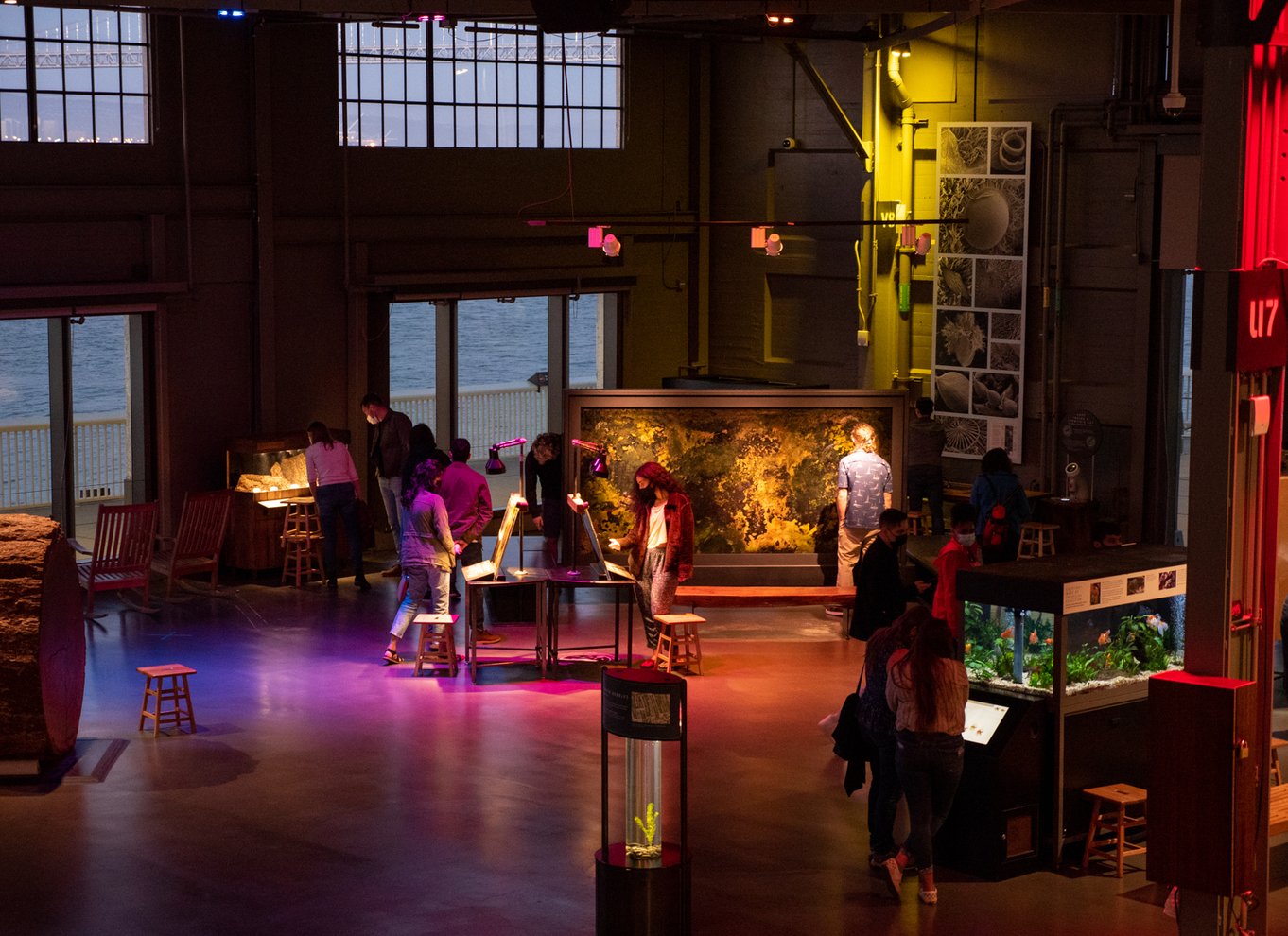 San Francisco: Exploratorium After Dark Entry Ticket (18 ...