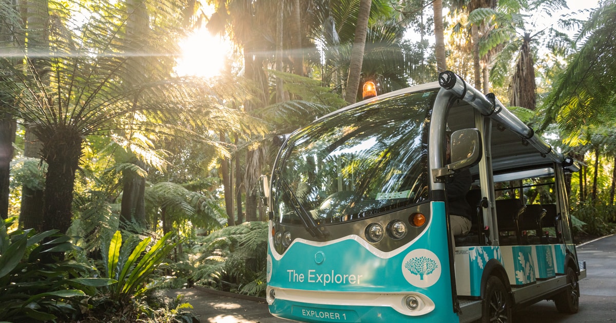 Melbourne: Melbourne Gardens Explorer Minibus Tour | GetYourGuide