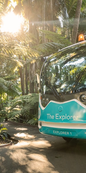 Melbourne: Melbourne Gardens Explorer Minibus Tour | GetYourGuide
