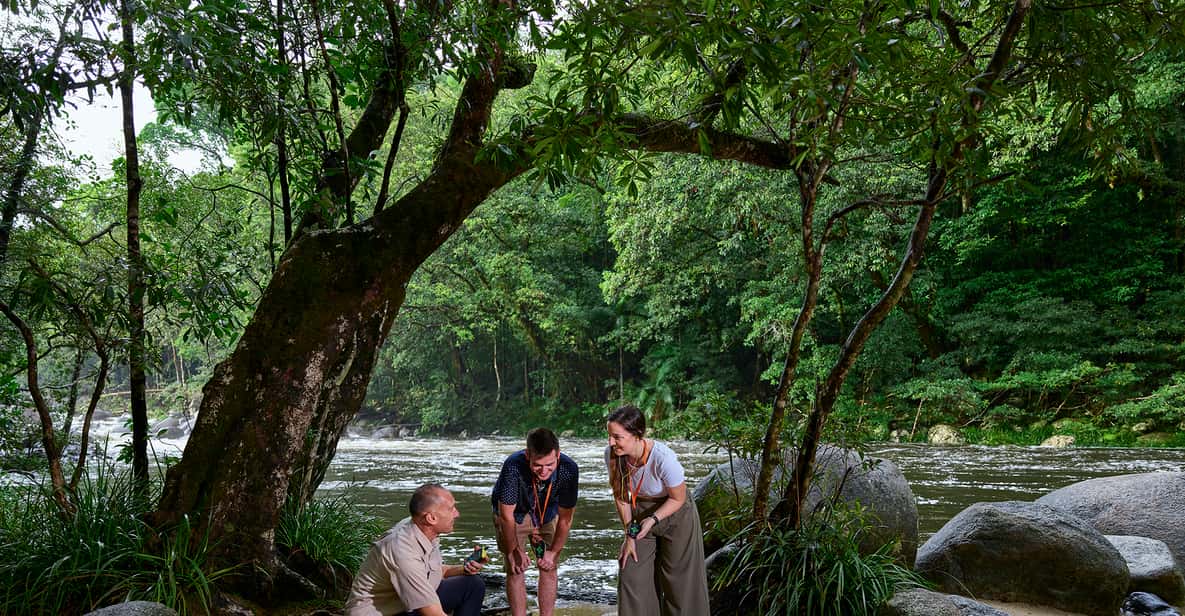Cairns: Aboriginal Art and Culture Full-Day Trip with Lunch | GetYourGuide