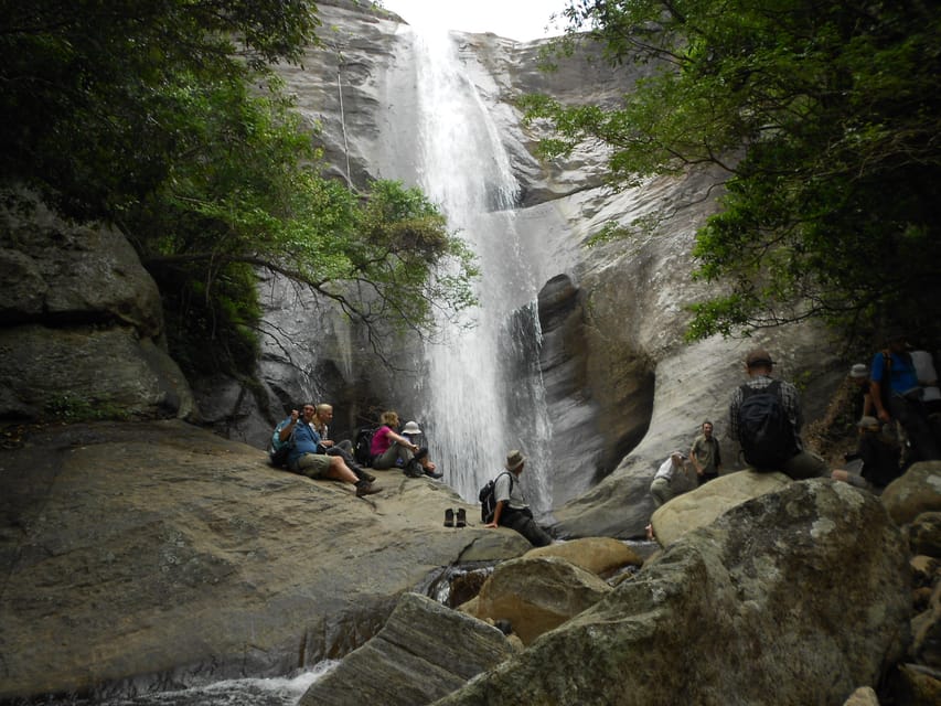 Ella-Trekking through Forest Tea Plantation & Waterfalls | GetYourGuide