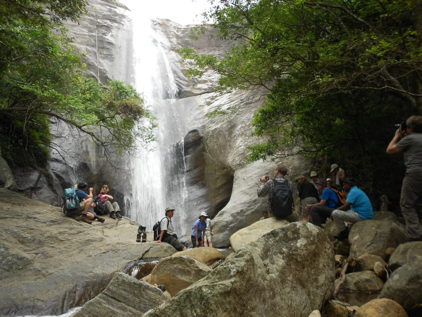 Ella-Trekking through Forest Tea Plantation & Waterfalls | GetYourGuide