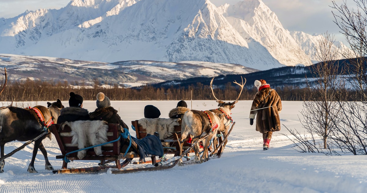 Tromsø: Slittamenti di renne Sámi e tour culturale Sami | GetYourGuide
