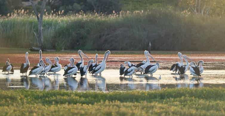 Banrock Station Wine and Wetland Centre, Australia, Kingston on Murray ...