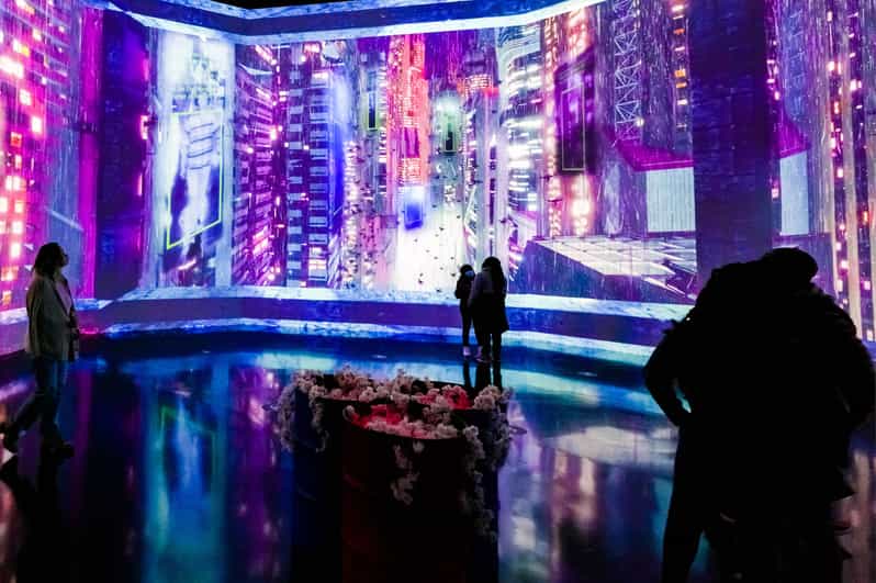 Miami: ARTECHOUSE Immersive Art Experience Entrance Ticket | GetYourGuide