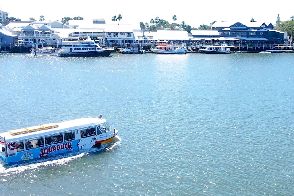 Mooloolaba: 1-Hour Land and Water Tour | GetYourGuide