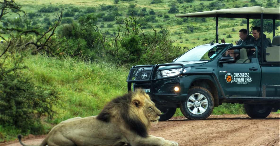 Addo Elephant National Park: Full-Day Safari Tour with Lunch | GetYourGuide