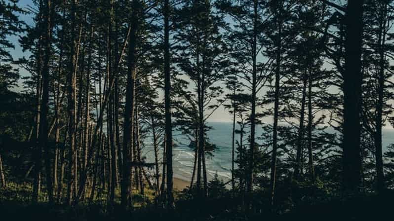 From Portland: Oregon Coast Tour | GetYourGuide