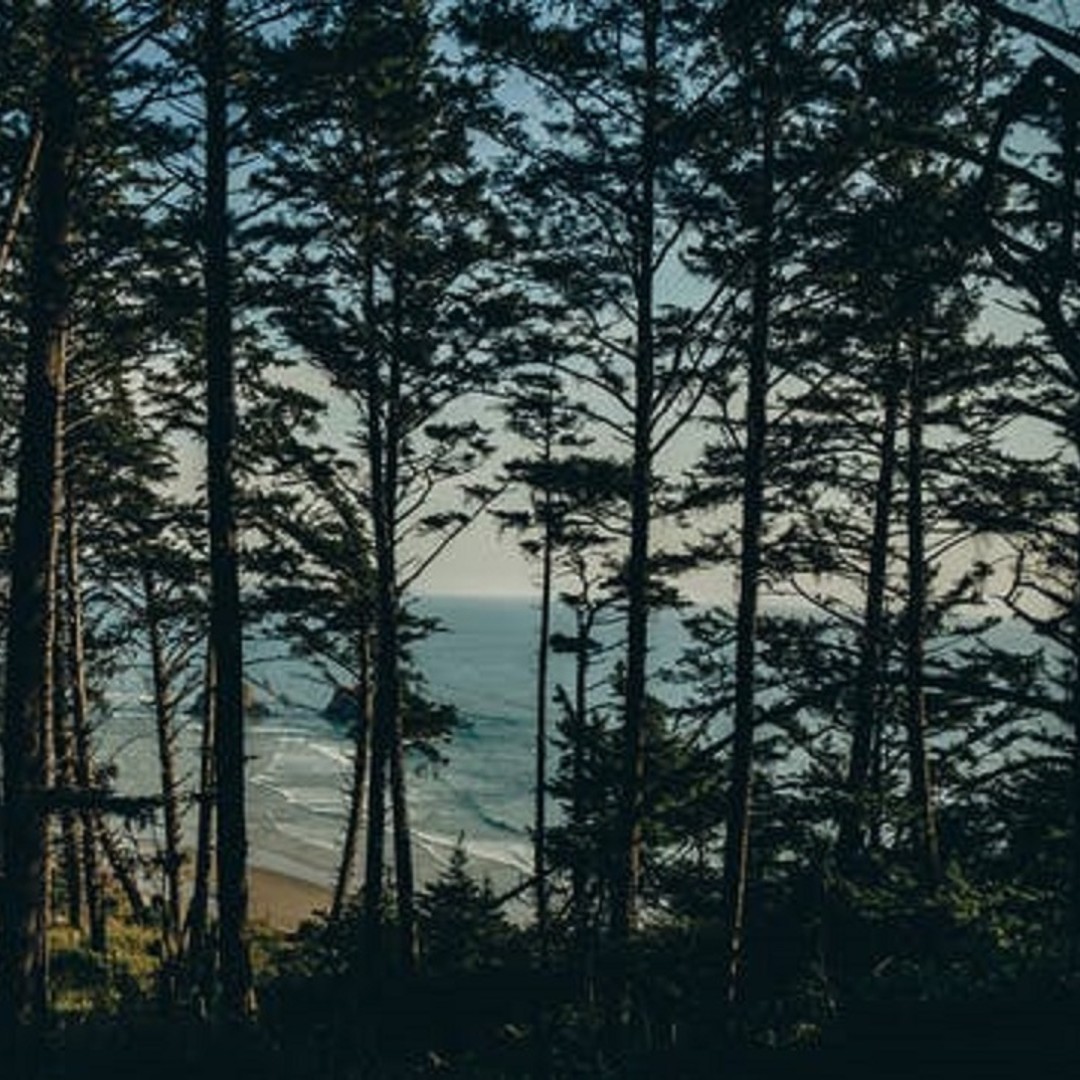 From Portland: Oregon Coast Tour | GetYourGuide